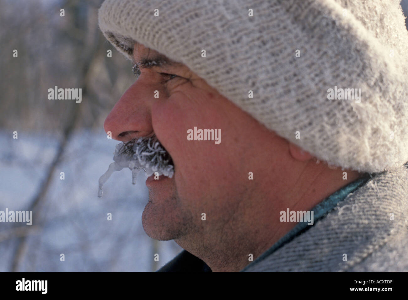 Frozen mustache on dog sledder Stock Photo - Alamy