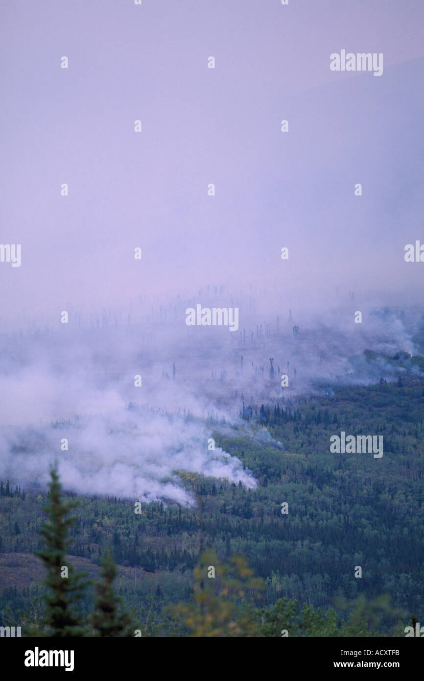 Canada boreal forest fire hi-res stock photography and images - Alamy