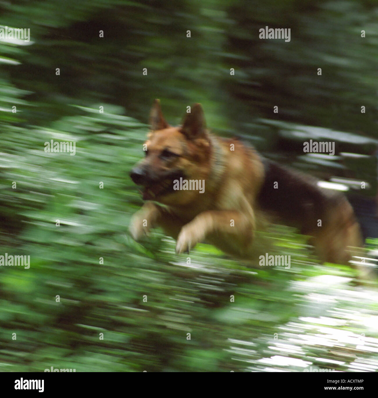 Leaps and bounds hi-res stock photography and images - Alamy