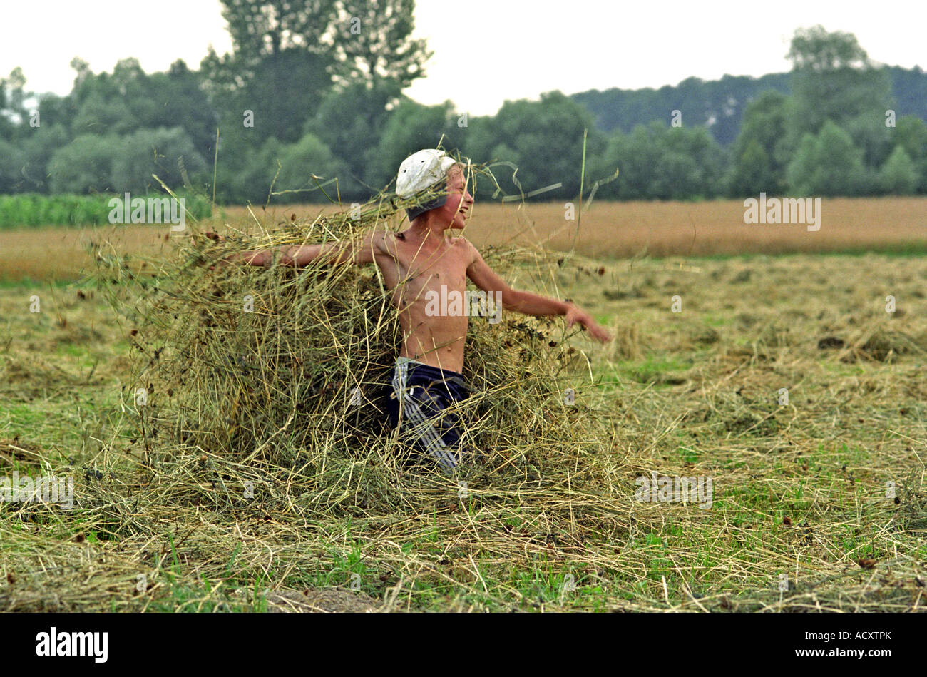 A country boy in hay, Poland Stock Photo - Alamy
