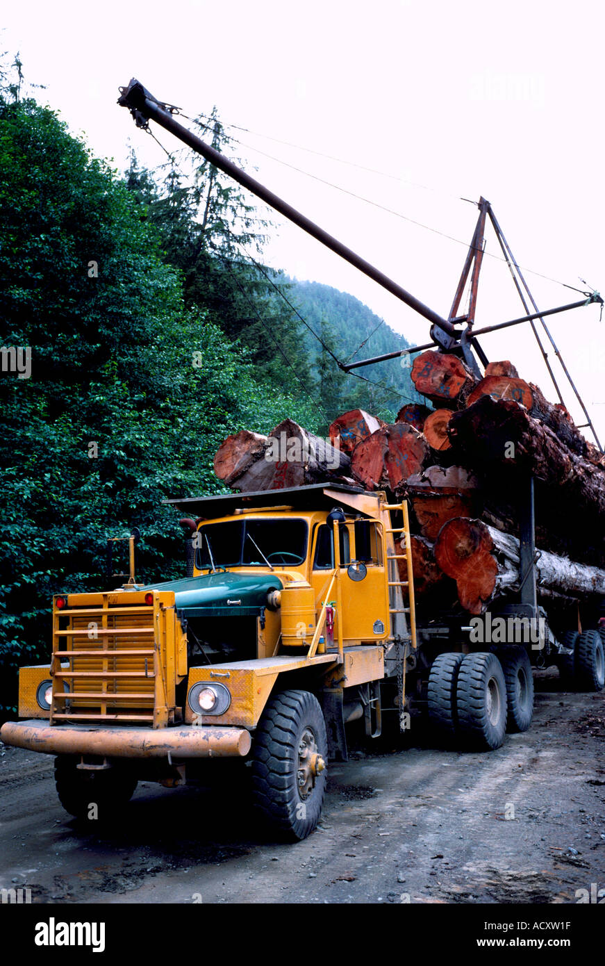 Loading Logs onto a Logging Truck in Northern British Columbia Canada ...