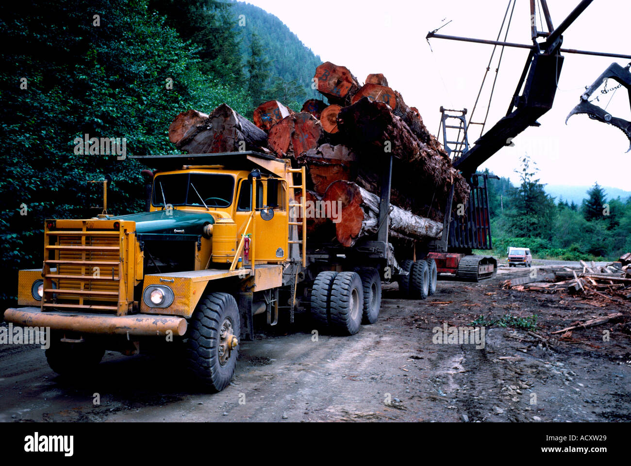 Loading Logs onto a Logging Truck in Northern British Columbia Canada ...