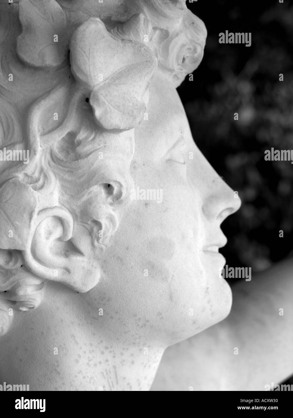 Statue of bacchus hi-res stock photography and images - Alamy