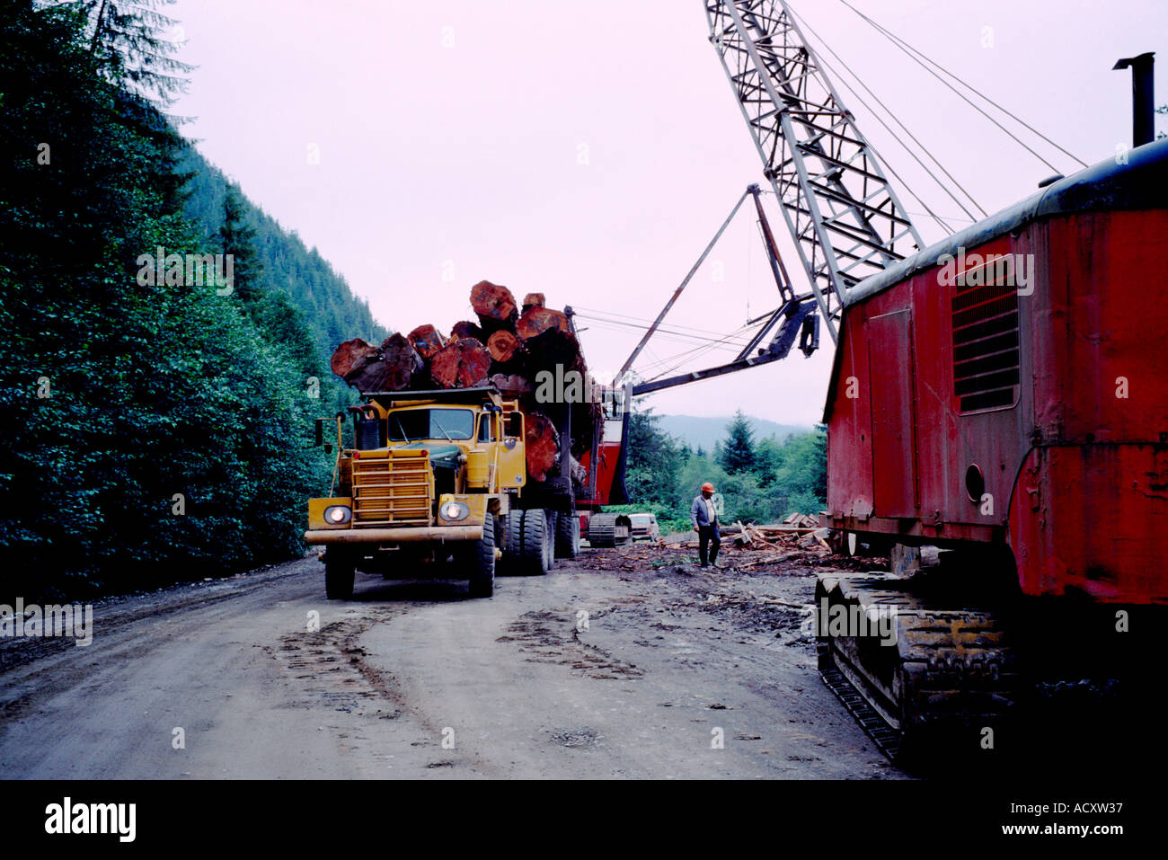 Loader logger logging logging hi-res stock photography and images - Alamy