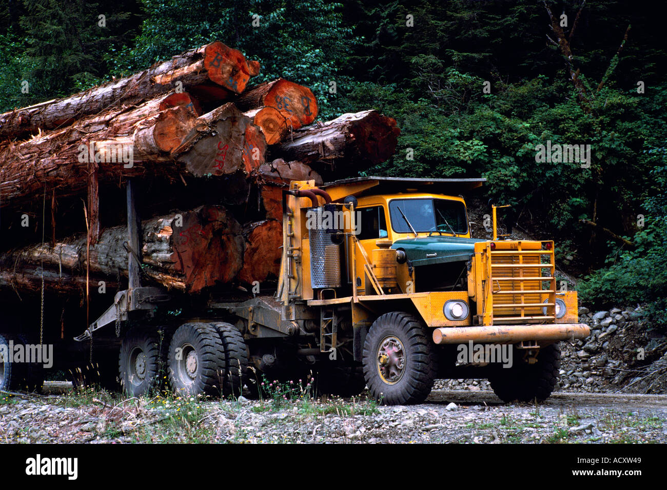 Deforestation logging truck hi-res stock photography and images - Alamy