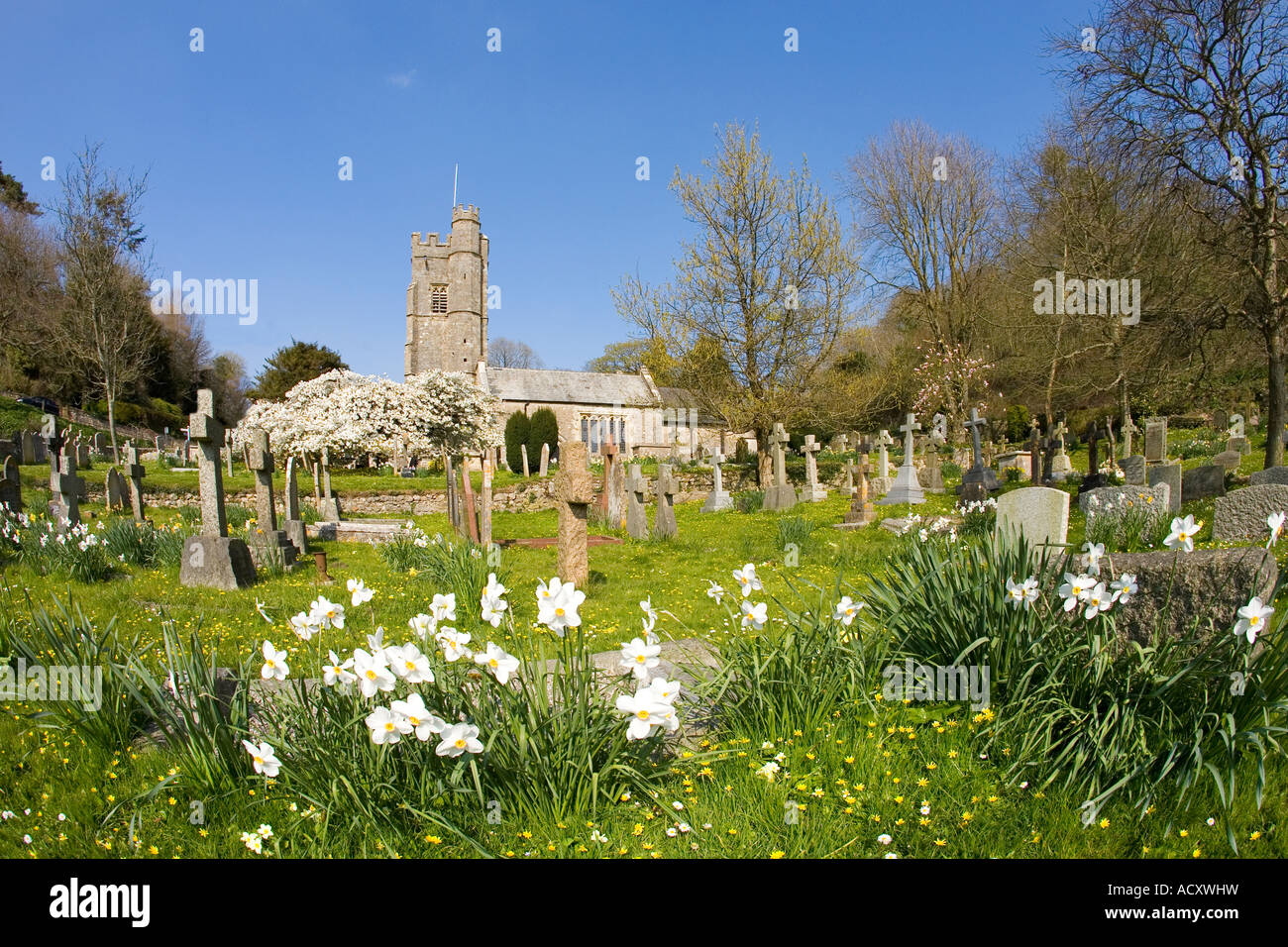 Village parish church and graveyard Salcombe Regis Devon in spring with ...