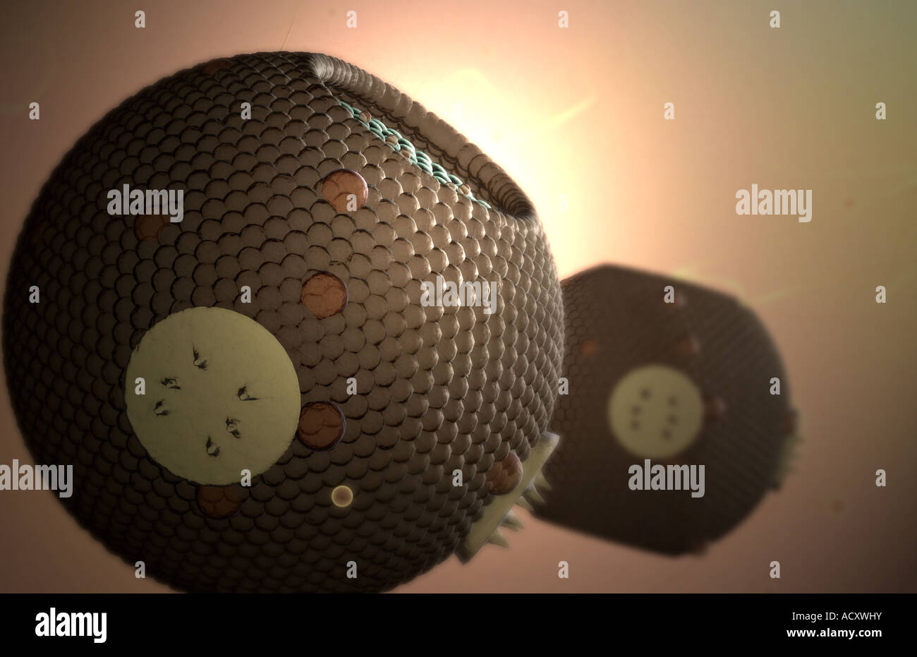 Intermediate density lipoproteins Stock Photo - Alamy