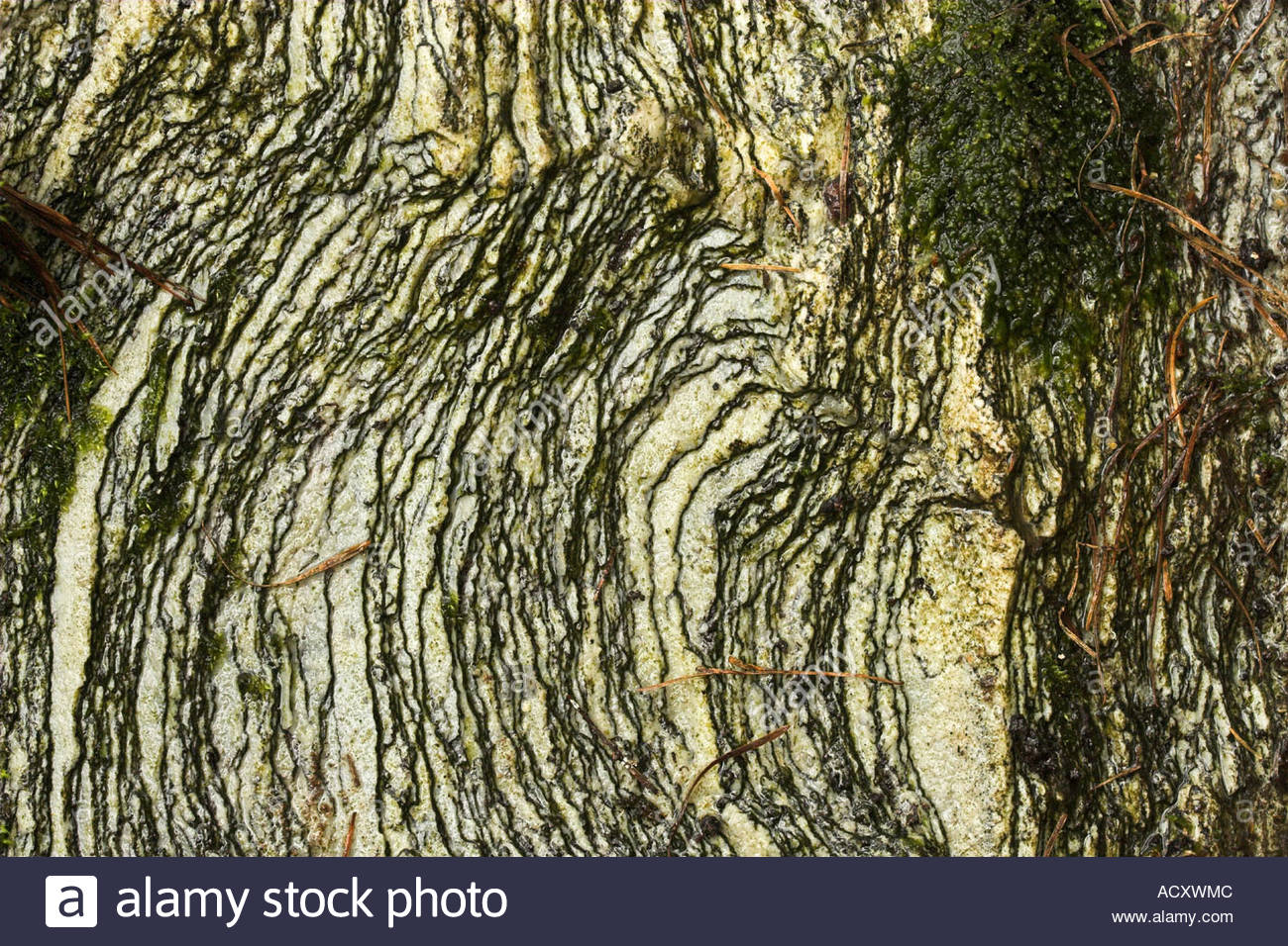 Fissured Rock Stock Photos & Fissured Rock Stock Images - Alamy