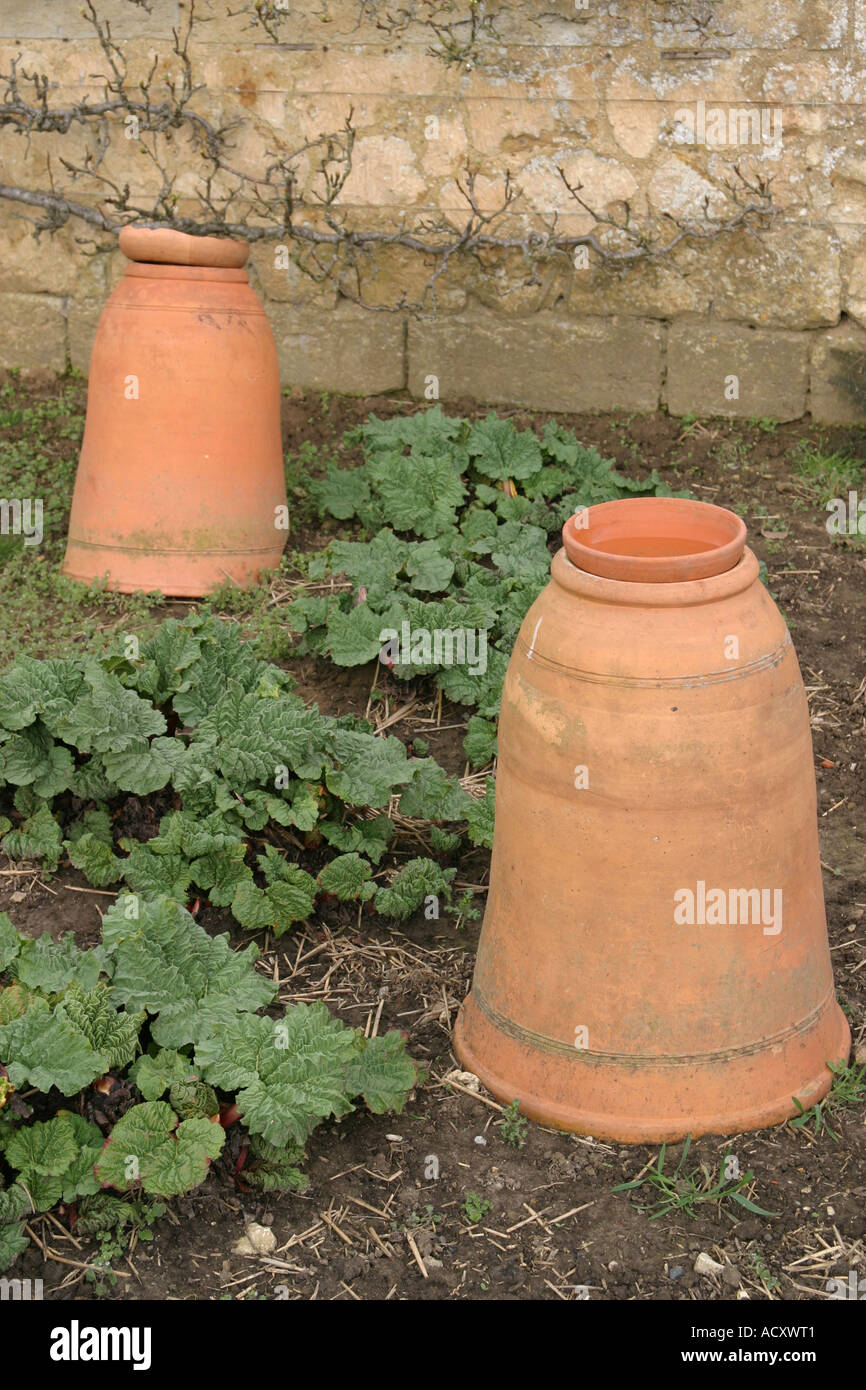 Blanching pot hi-res stock photography and images - Alamy