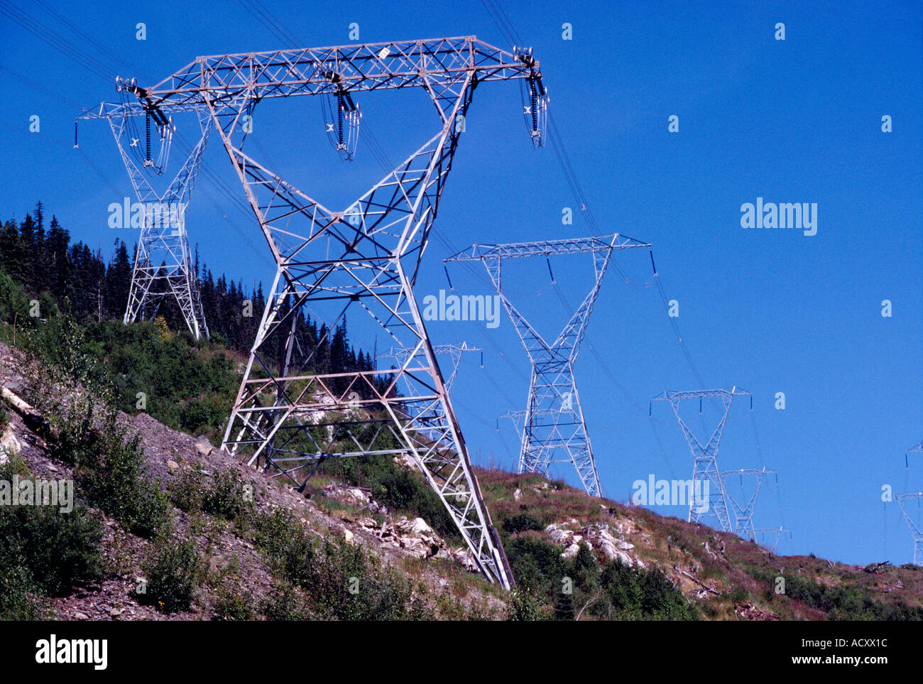 Hydro Electric Power Lines crossing the Landscape in British Columbia Canada Stock Photo - Alamy
