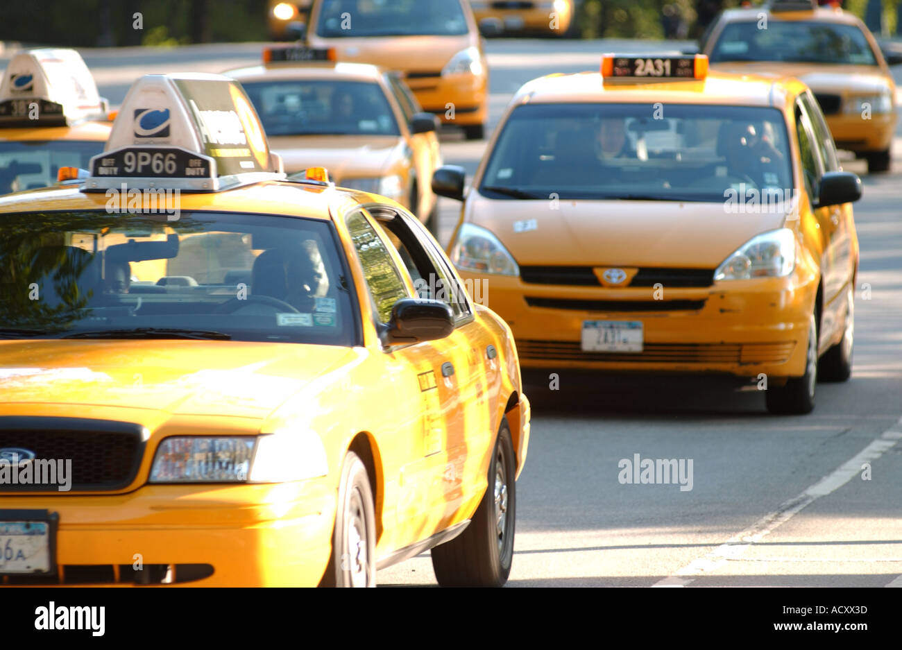 Yellow taxi cabs in Central Park. New York. USA Stock Photo - Alamy