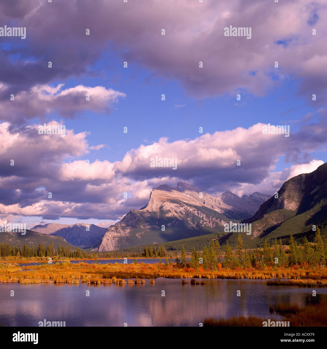 Mount Rundle and Vermilion Lakes/ Vermillion Lakes, Banff National Park ...