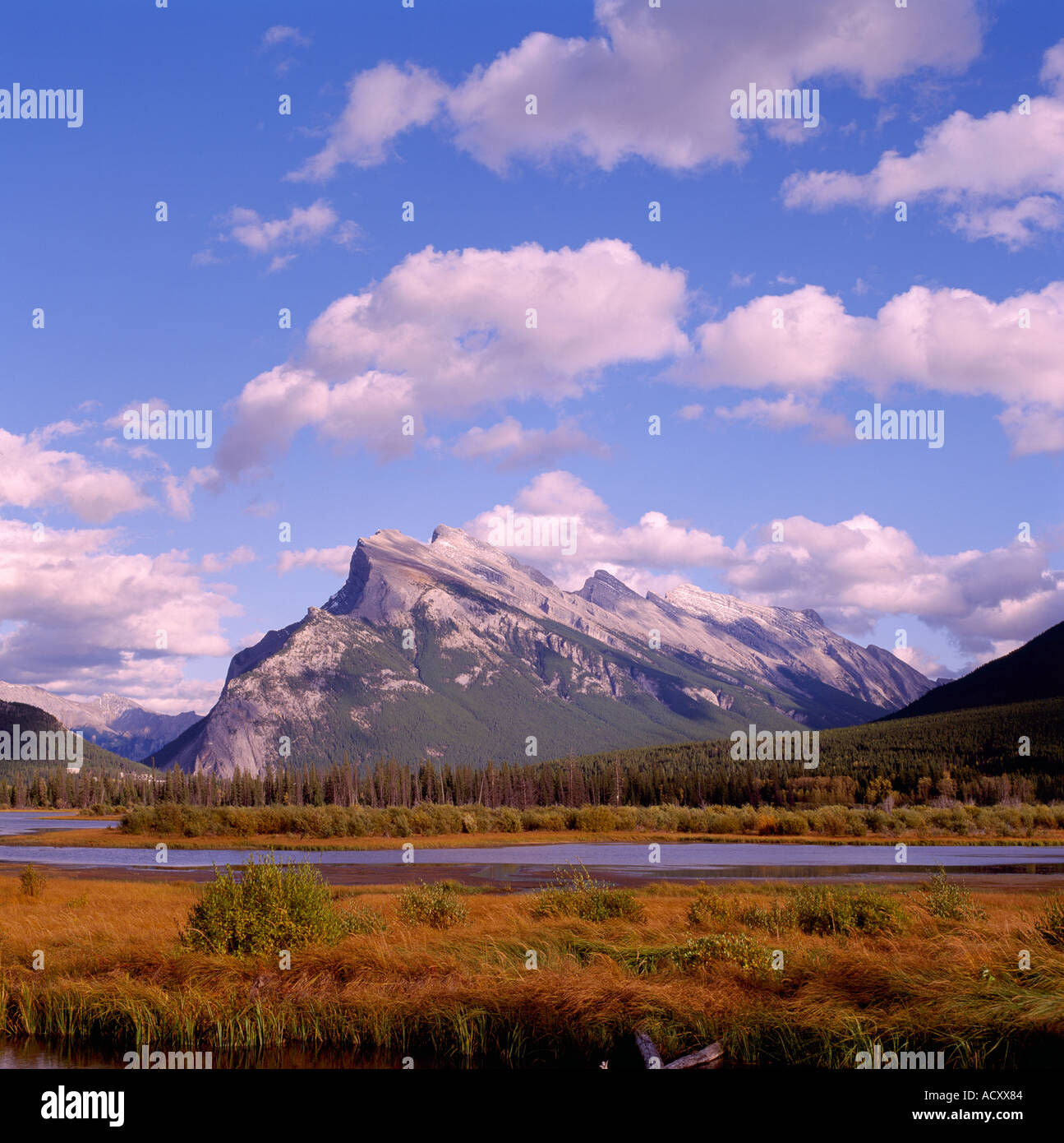 Mount Rundle and Vermilion Lakes/ Vermillion Lakes, Banff National Park ...