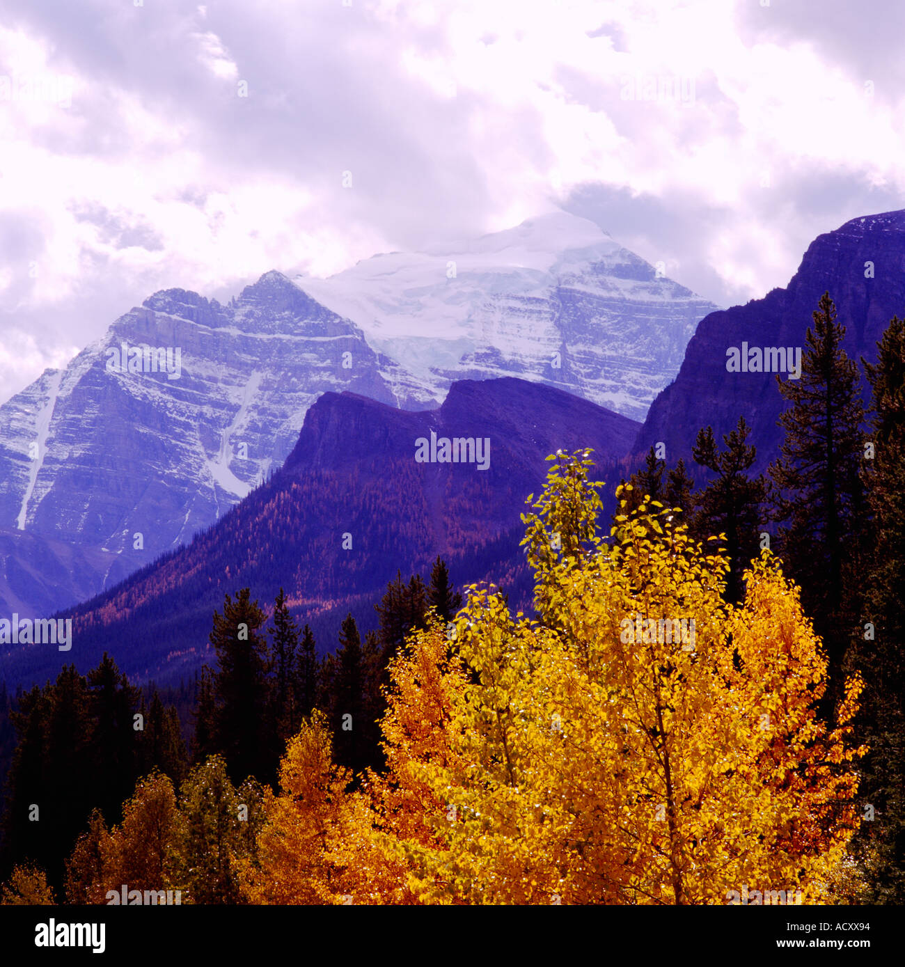 Rocky Mountains at Lake Louise in Banff National Park in the Canadian ...