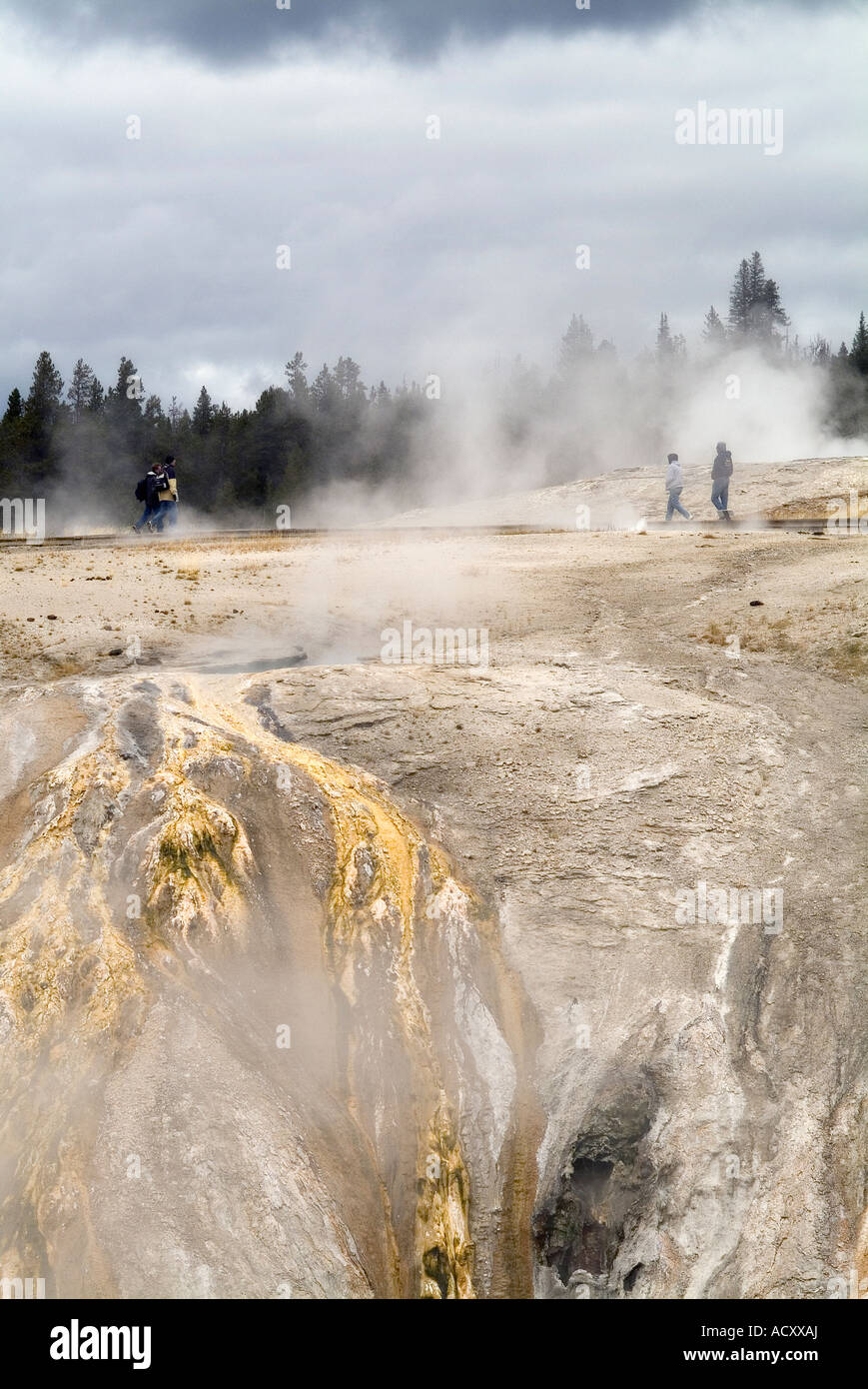 Fumaroles at Geyser Hill. Old Faithful area. Yellowstone National Park ...
