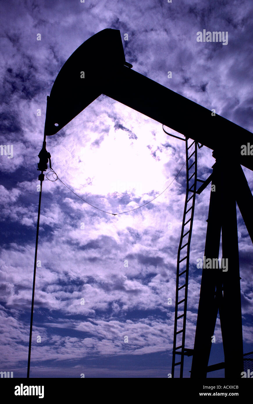 Nodding donkey pumps crude oil hi-res stock photography and images - Alamy
