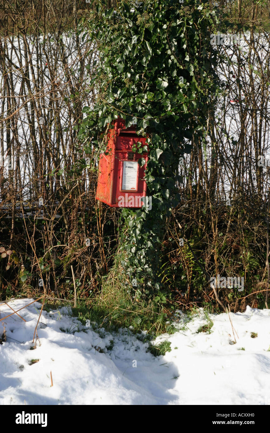 British post box in a hedge during snow Stock Photo - Alamy