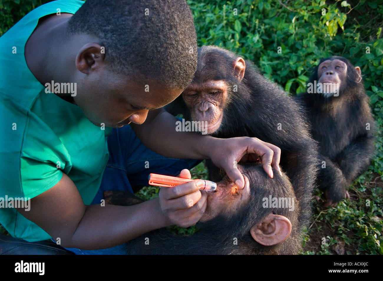 Ssuna hi-res stock photography and images - Alamy