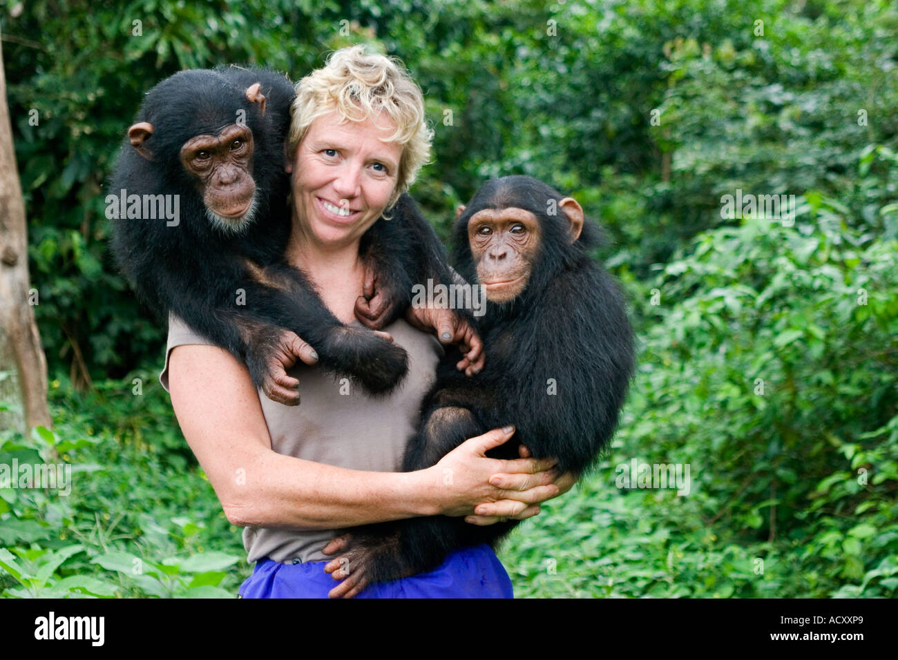 Jane goodall young hi-res stock photography and images - Alamy