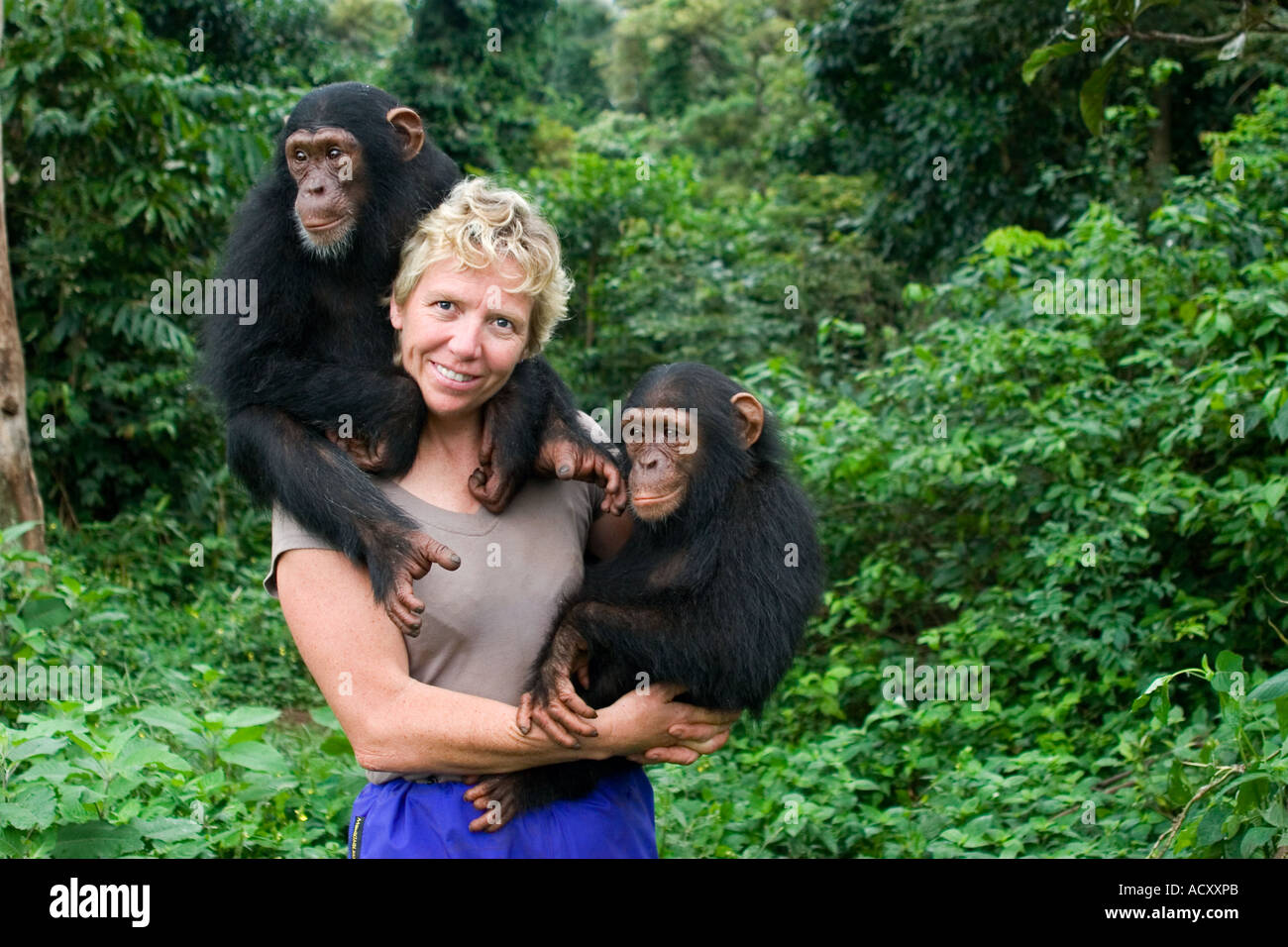 Jane goodall young hi-res stock photography and images - Alamy