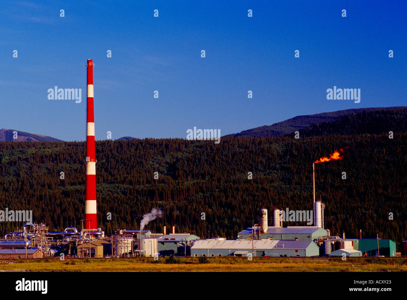 Natural gas plant canada hi-res stock photography and images - Alamy