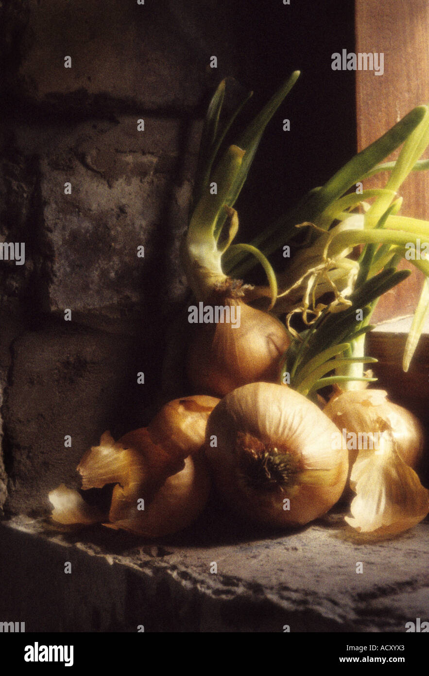 Onions with leaves hi-res stock photography and images - Alamy