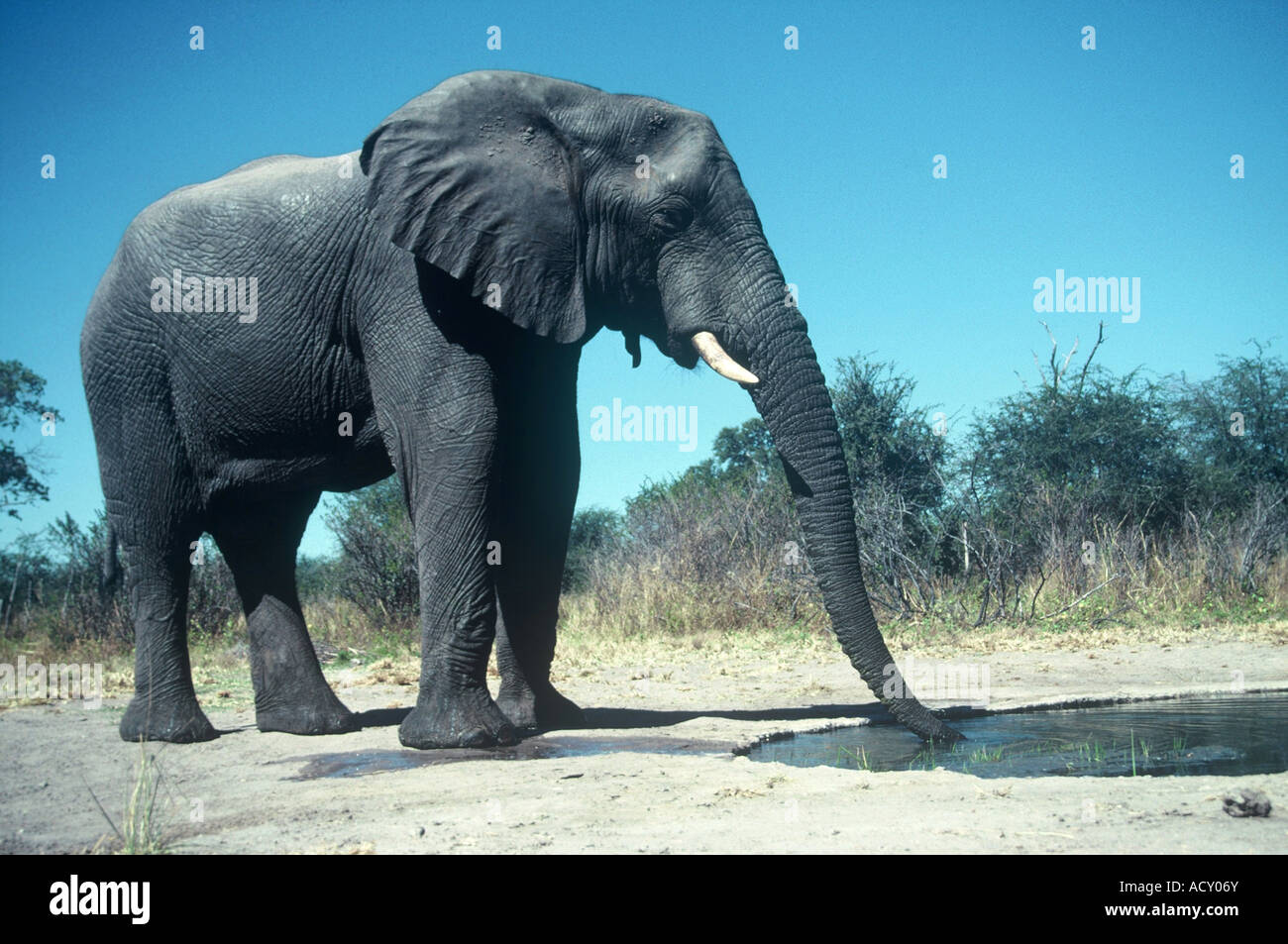 Waterpoint hi-res stock photography and images - Alamy
