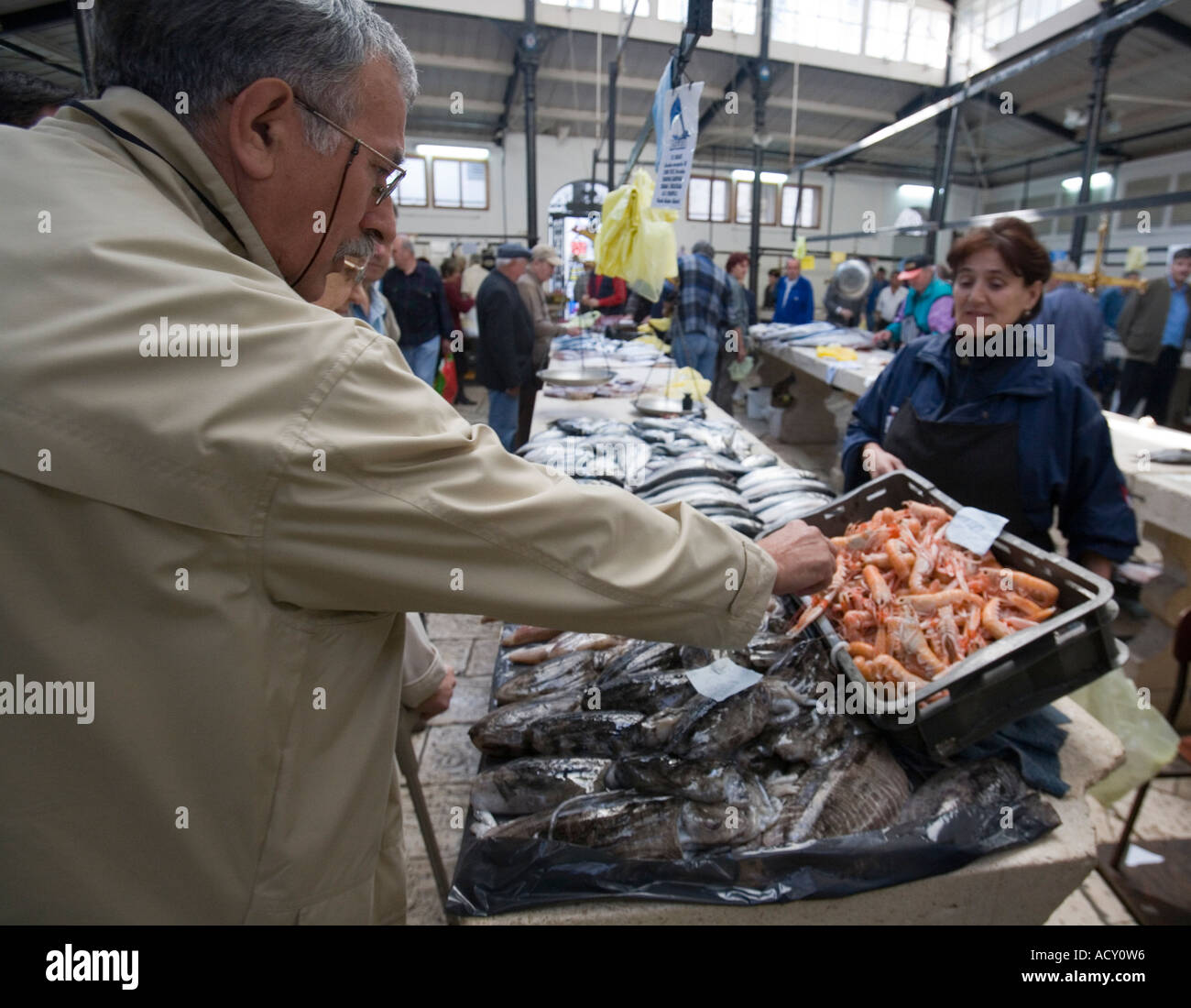 The Local Fish Market in Split Croatia Stock Photo - Alamy