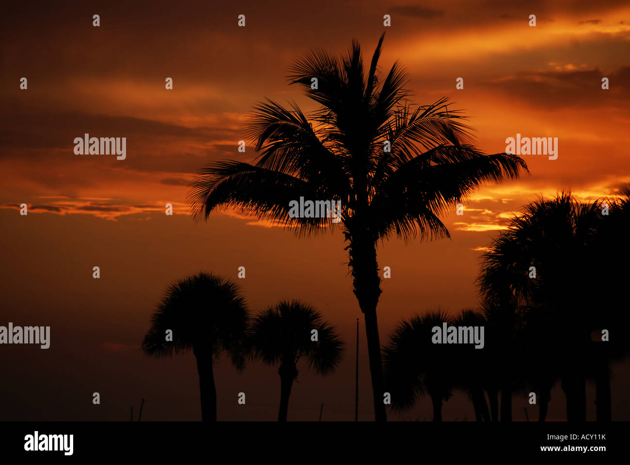 Hawaii hot sunset sky hi-res stock photography and images - Alamy