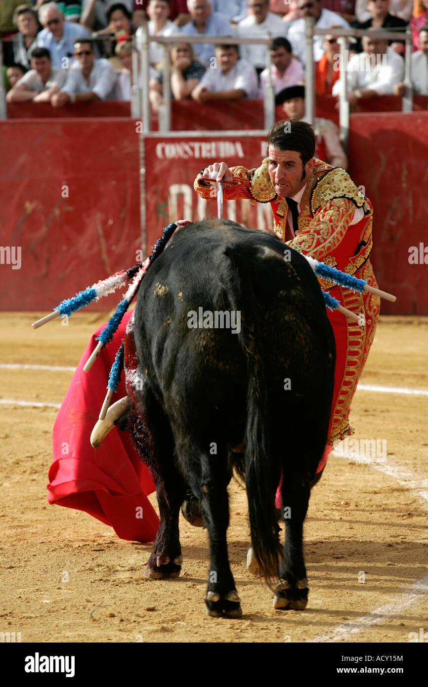 Matador bull charging hi-res stock photography and images - Alamy