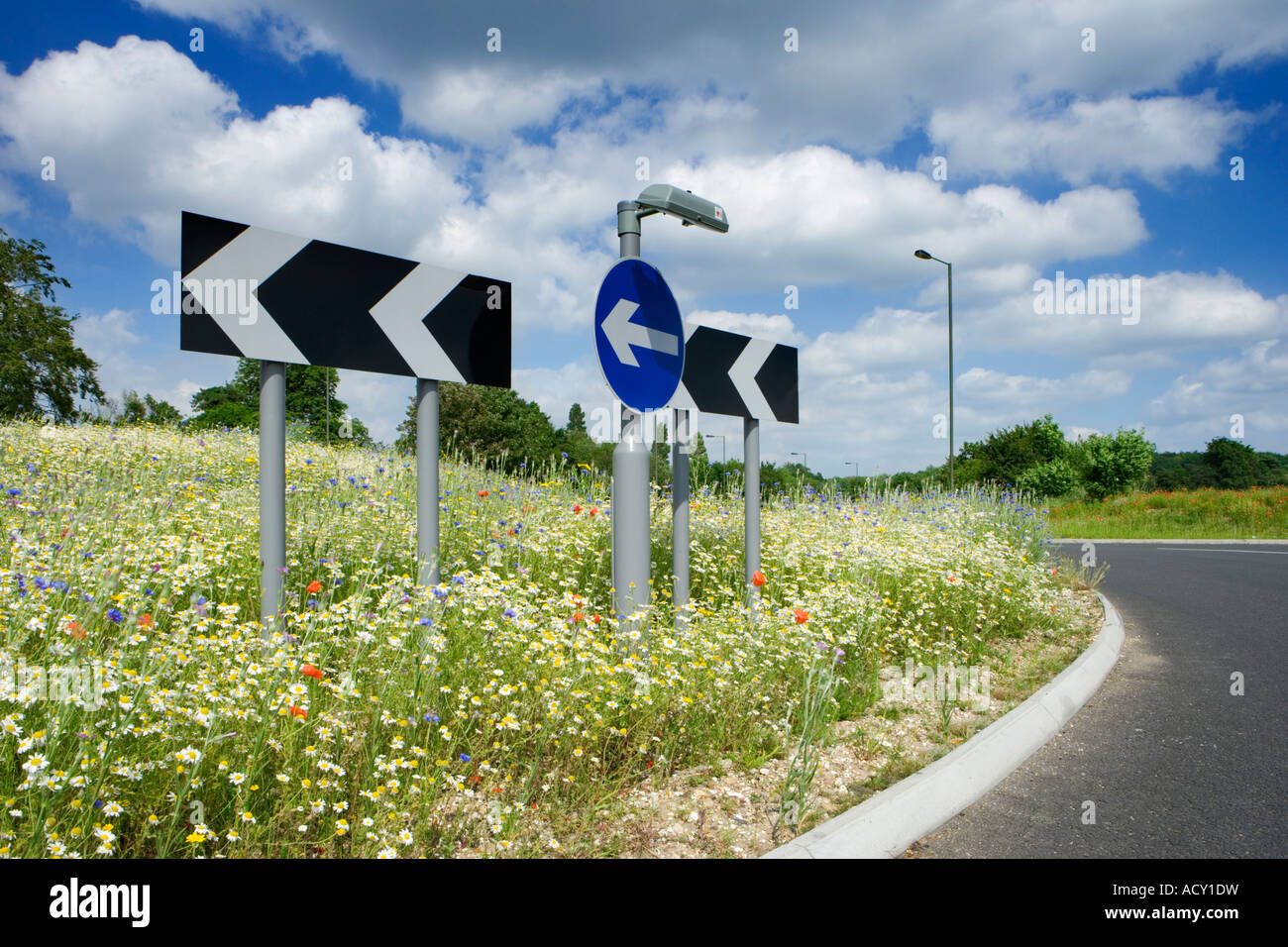 Road signs on roundabout with annual flowers Stock Photo - Alamy