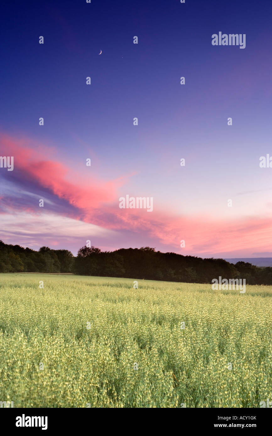 Field crescent moon hi-res stock photography and images - Alamy