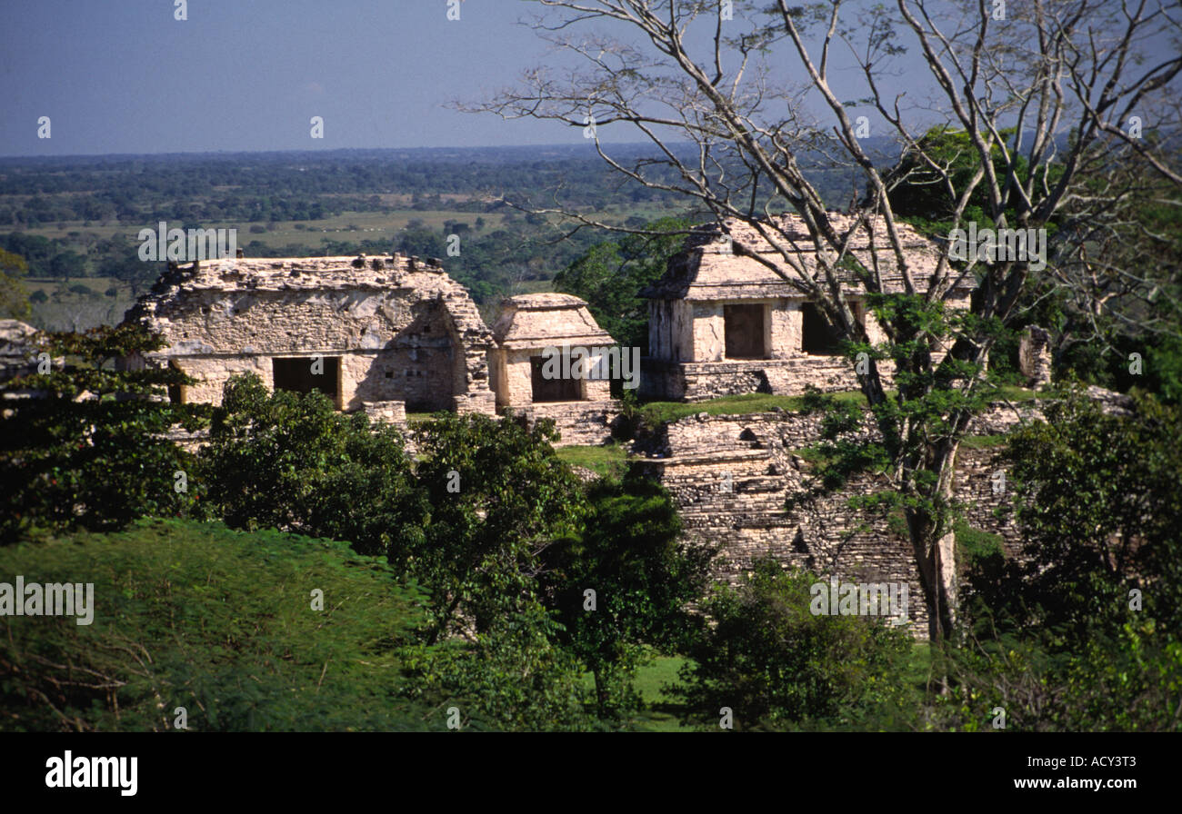 temples of north group Palenque Chiapas Mexico Central America Stock ...