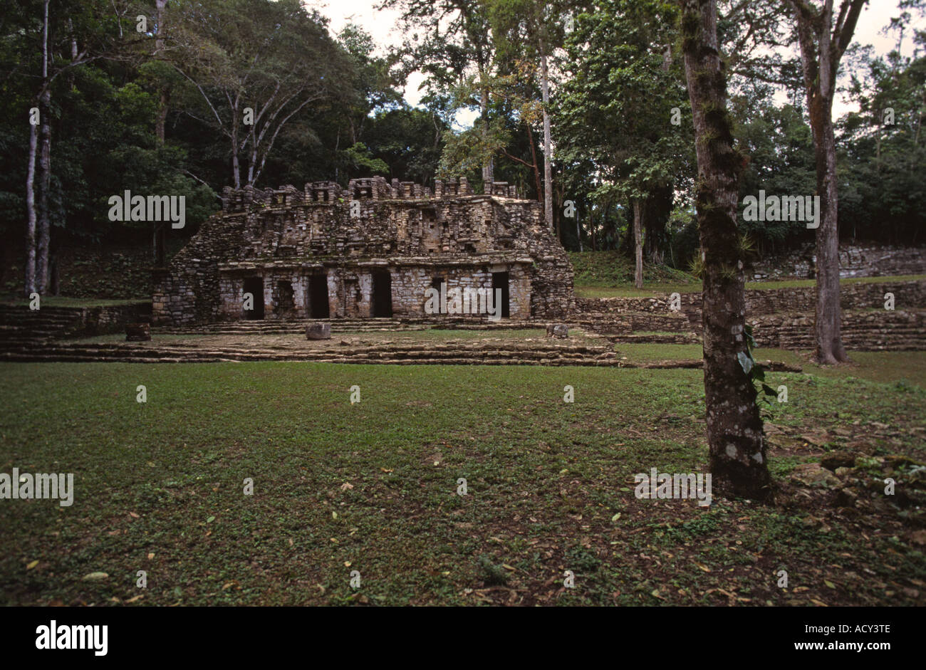 El Laberinto the labyrinth of Yaxchilan Mexico Central America Stock ...