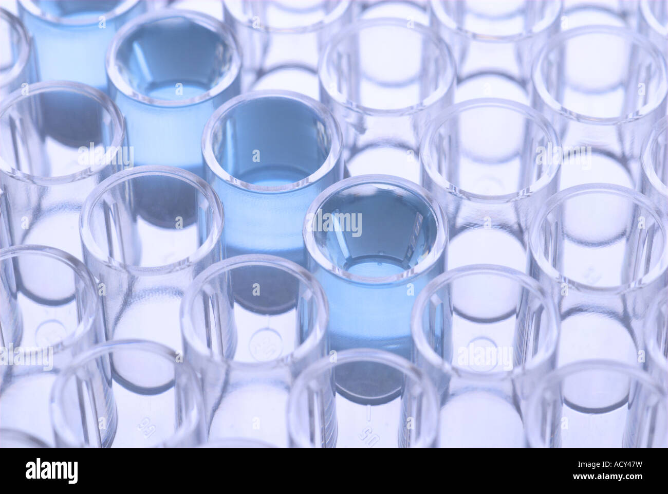 Ninety six well plate with blue samples hi-res stock photography and ...