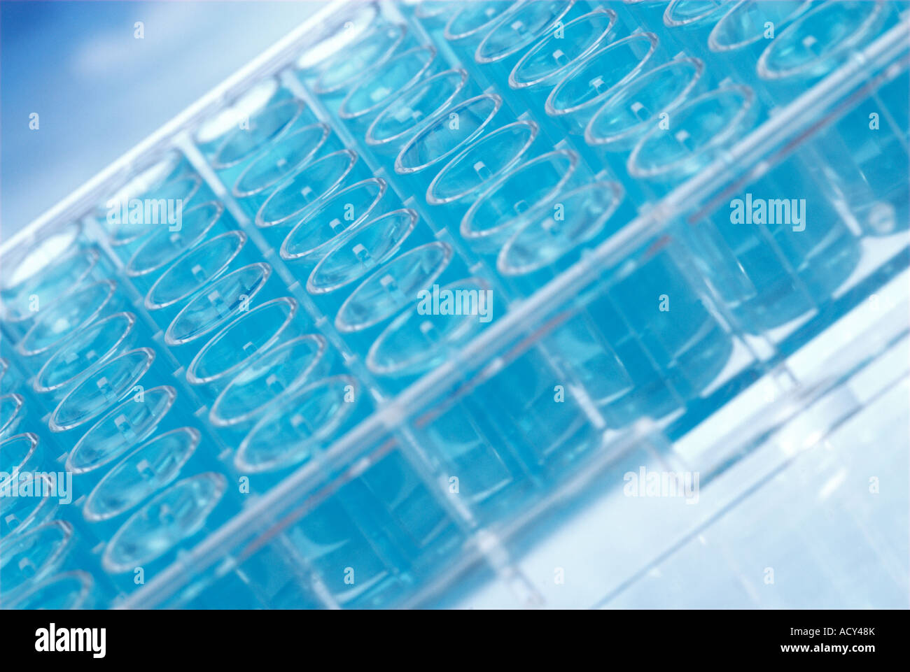96 well plate hi-res stock photography and images - Alamy