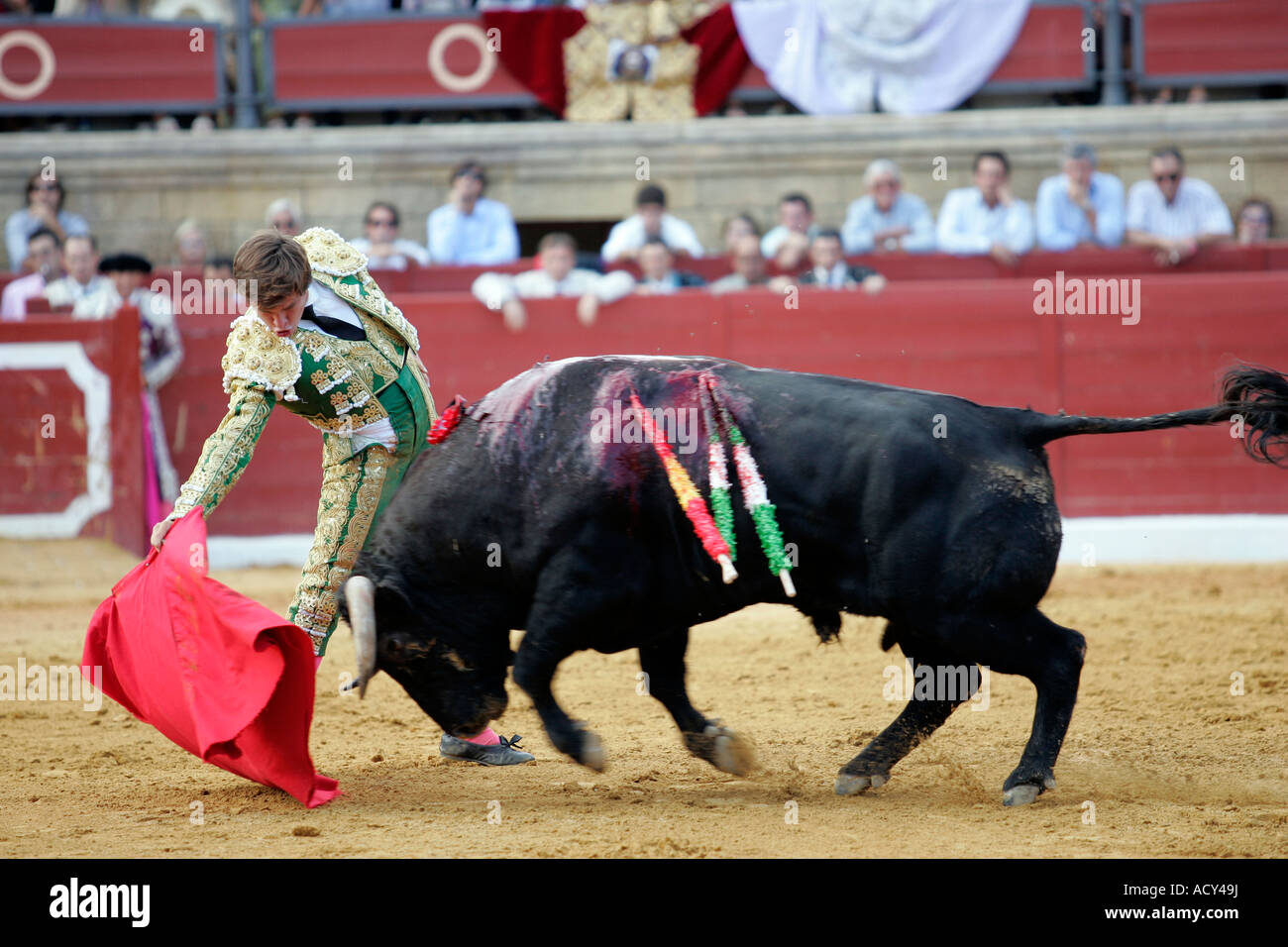 Bullfighting In Spain Accidents