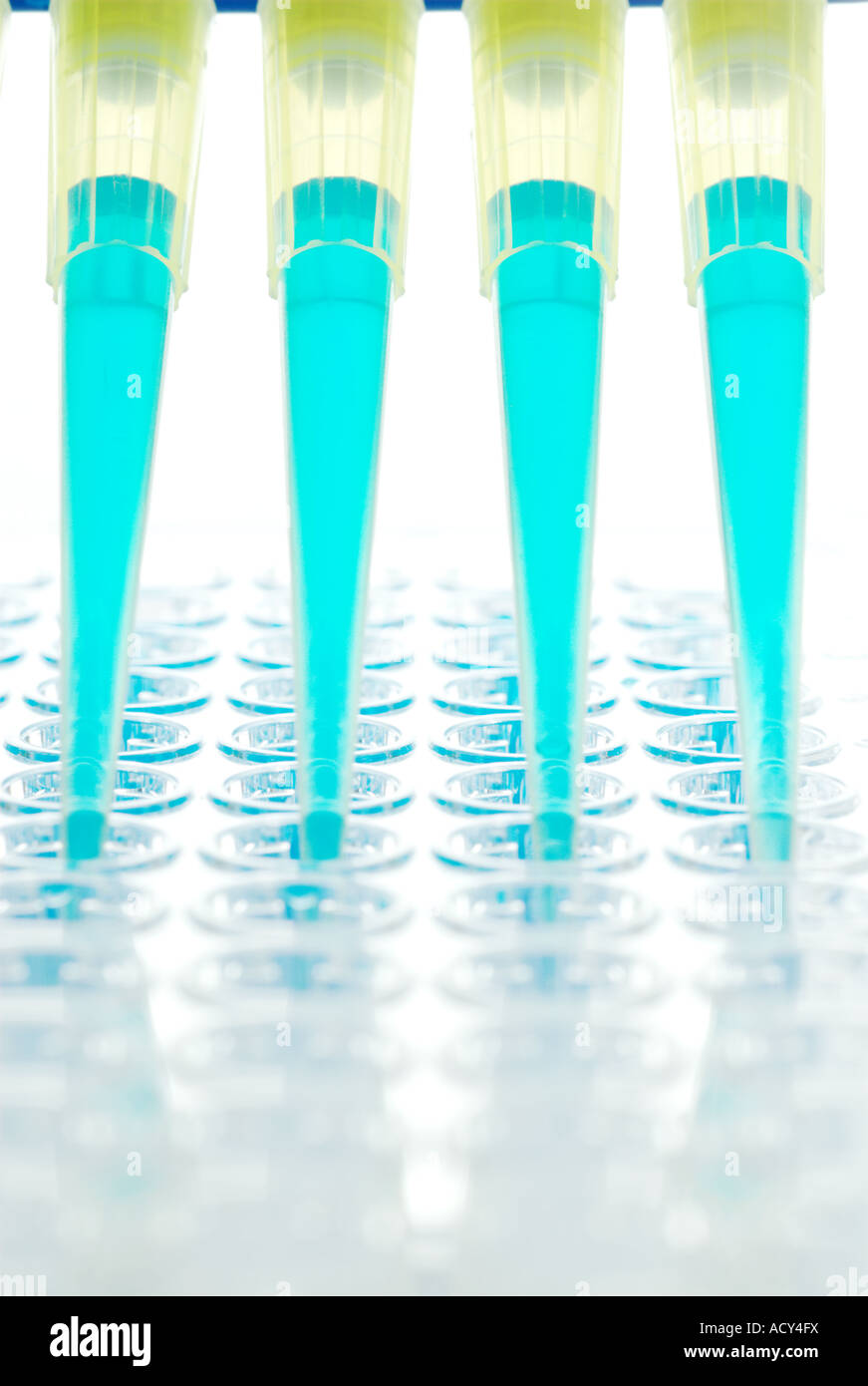 96 well plate multichannel pipette hi-res stock photography and images ...