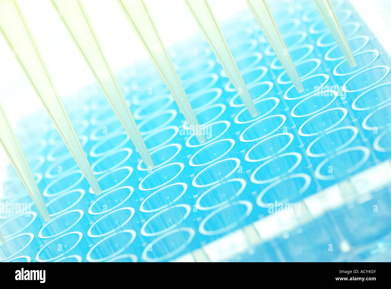 Multi channel pipette hi-res stock photography and images - Alamy