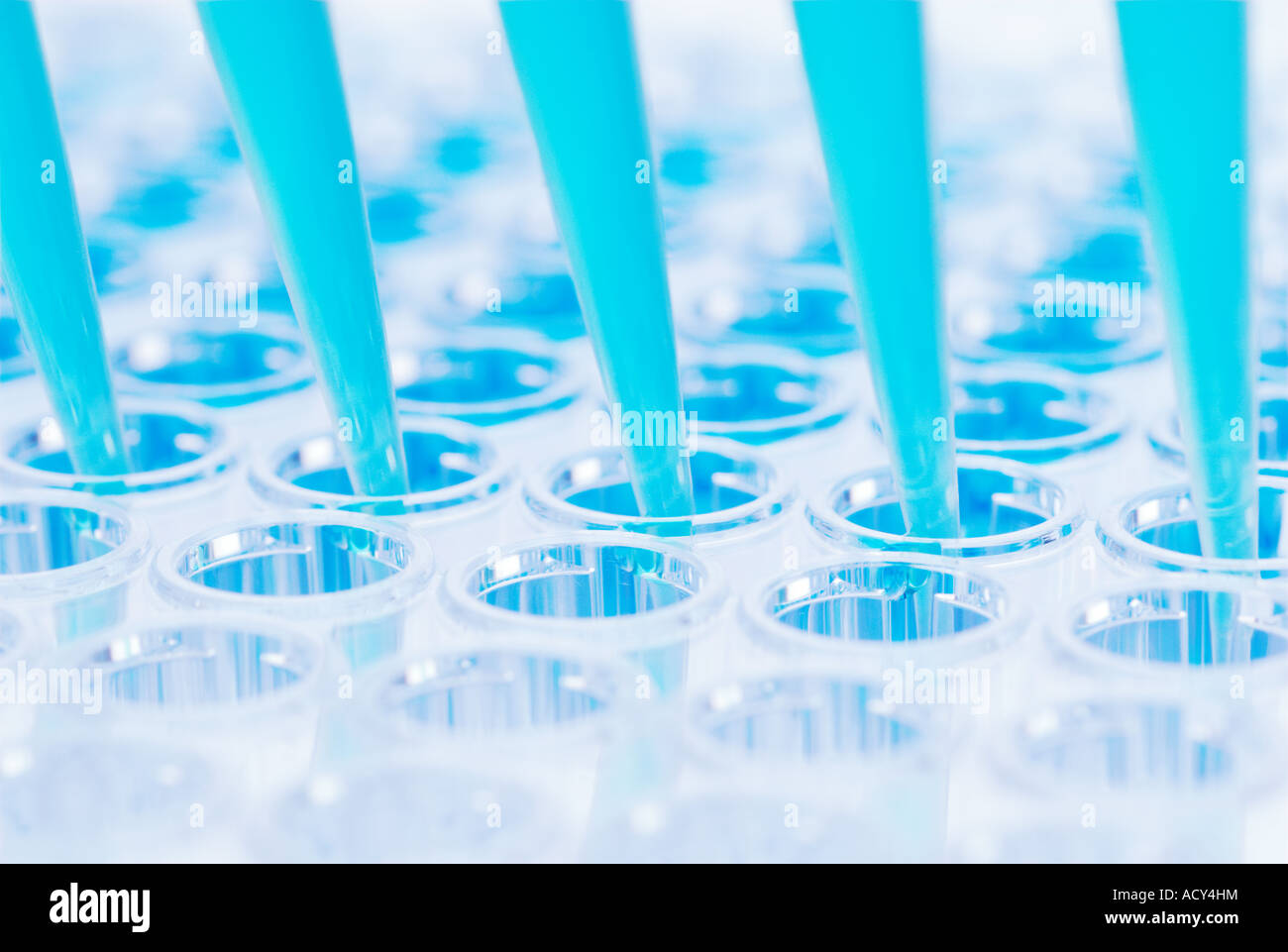 96 well plate multichannel pipette hi-res stock photography and images ...