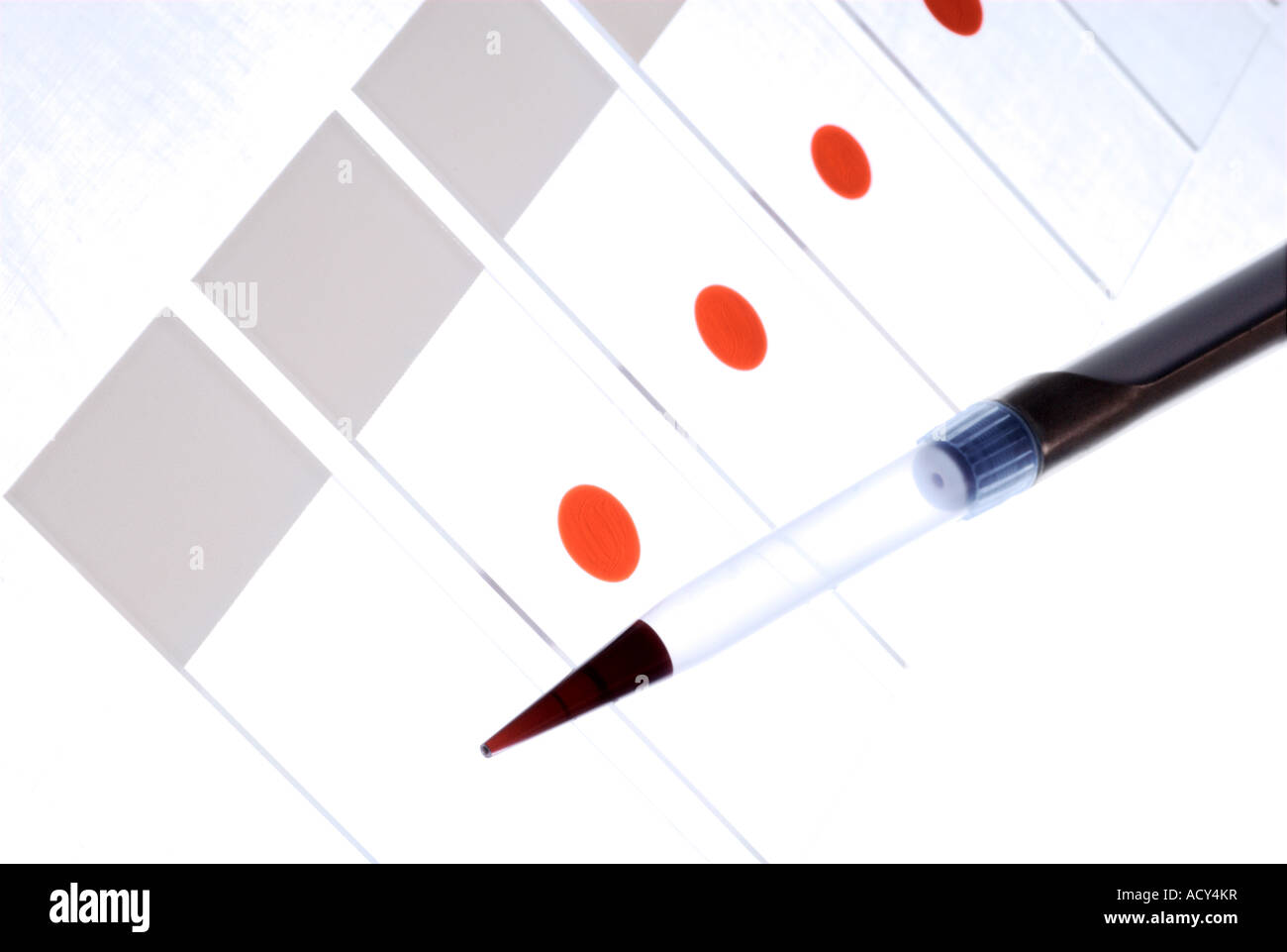 pipette dispensing sample onto microscope slides Stock Photo - Alamy