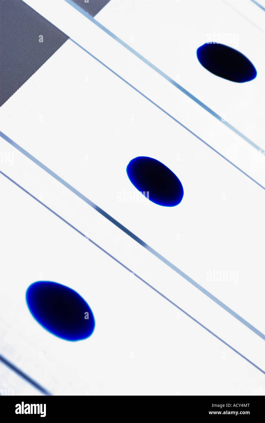 microscope slides and samples Stock Photo - Alamy