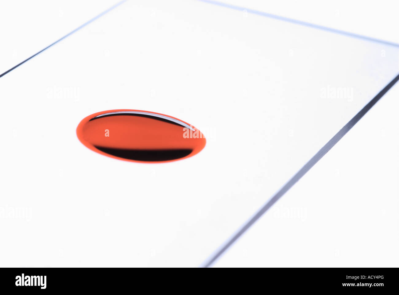 microscope slide with blood sample isolated on a white background with ...