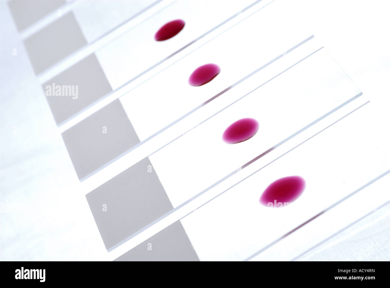 Sample slides hi-res stock photography and images - Alamy