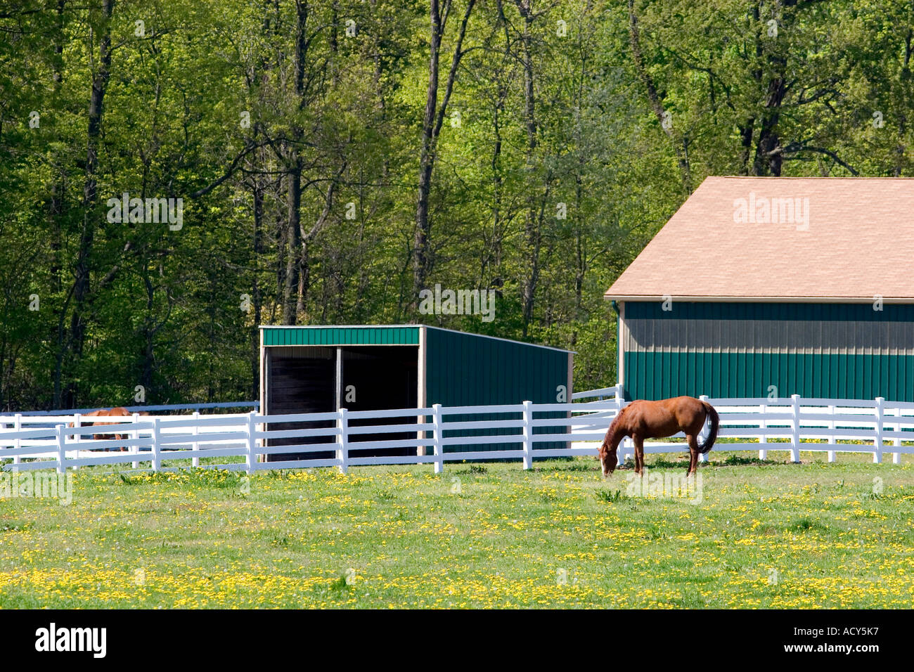 Ada michigan hi-res stock photography and images - Alamy