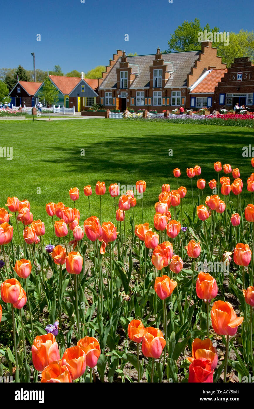 Windmill Island park with tulips in bloom at Holland, Michigan Stock ...