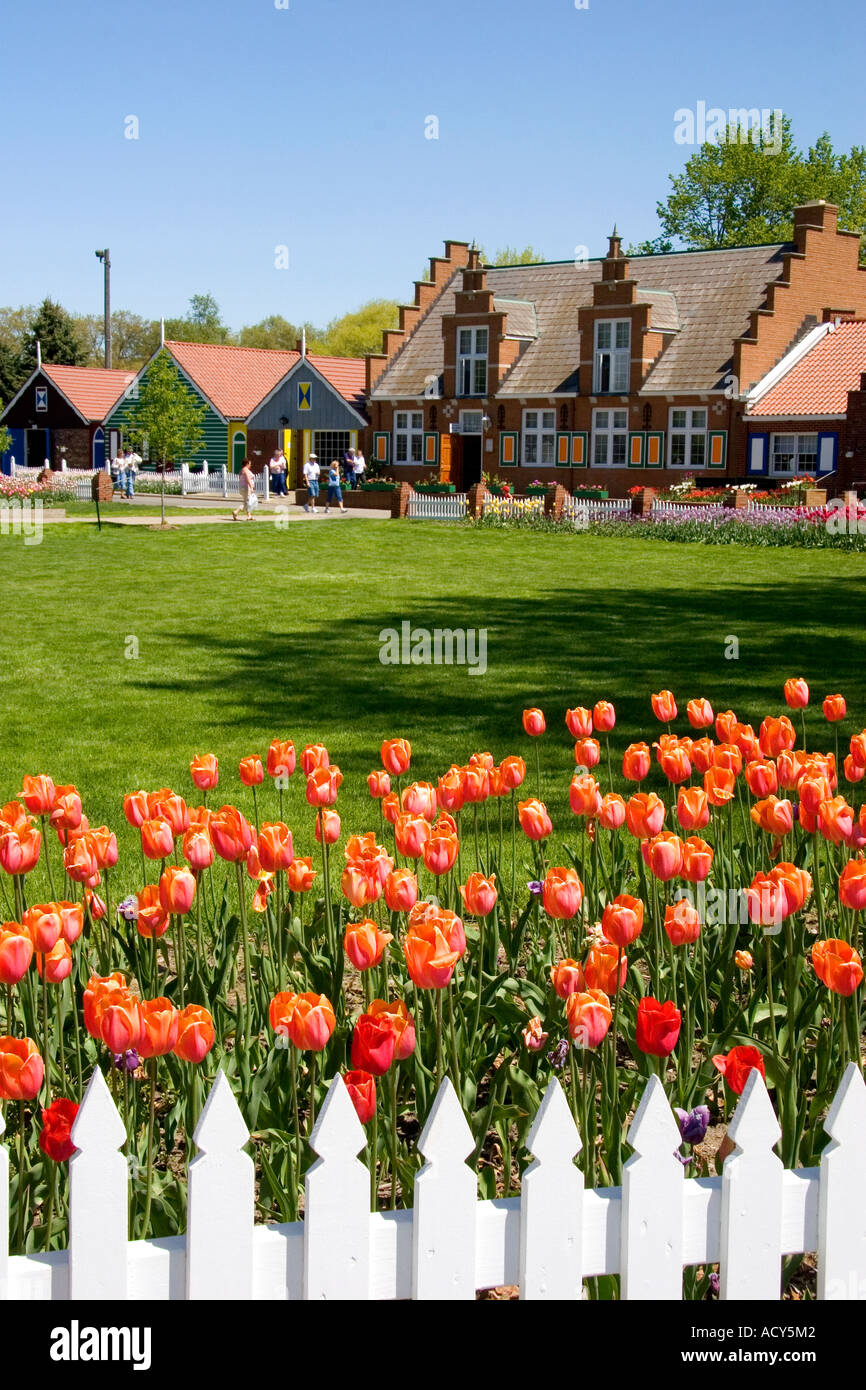 Windmill Island park with tulips in bloom at Holland, Michigan Stock ...
