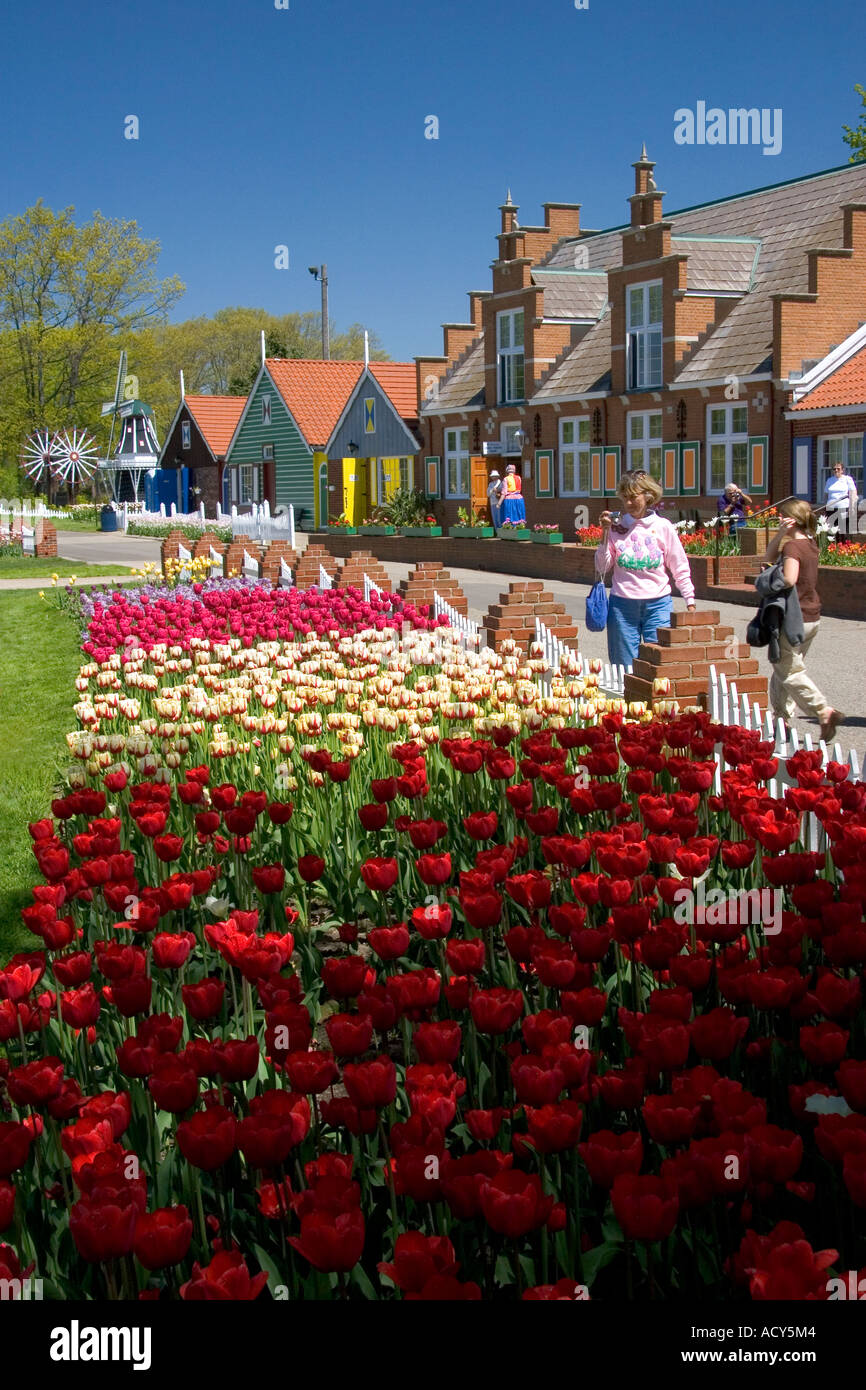Windmill Island park with tulips in bloom at Holland, Michigan Stock ...