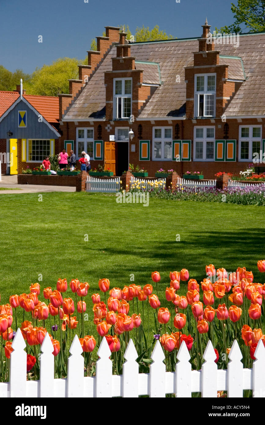 Windmill Island park with tulips in bloom at Holland, Michigan Stock ...