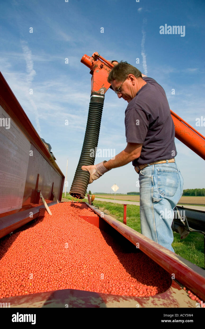 Loading Photos Seed Planter